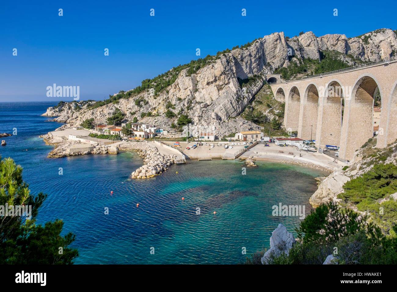 La vesse Banque de photographies et d’images à haute résolution - Alamy