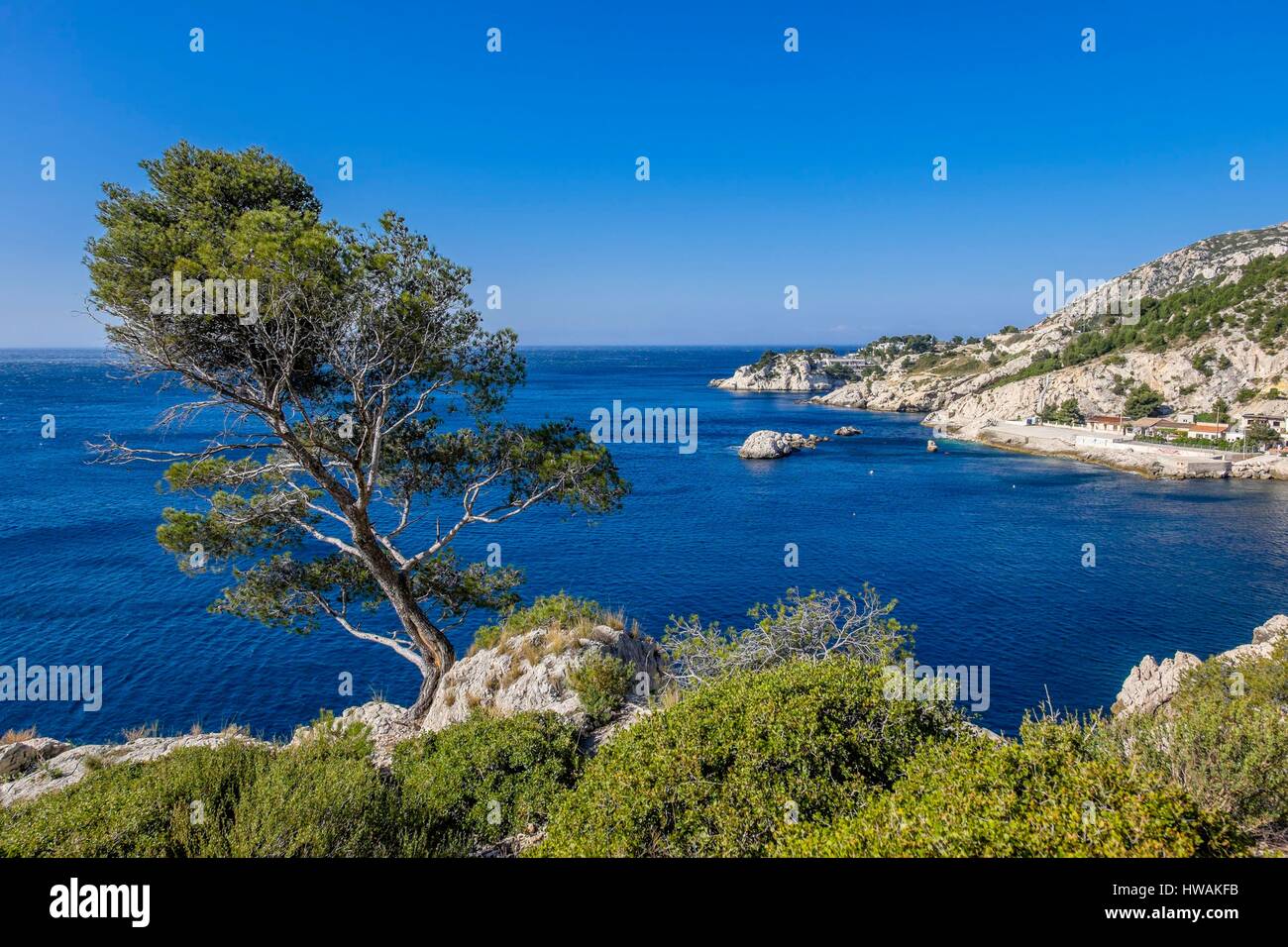 La vesse Banque de photographies et d’images à haute résolution - Alamy