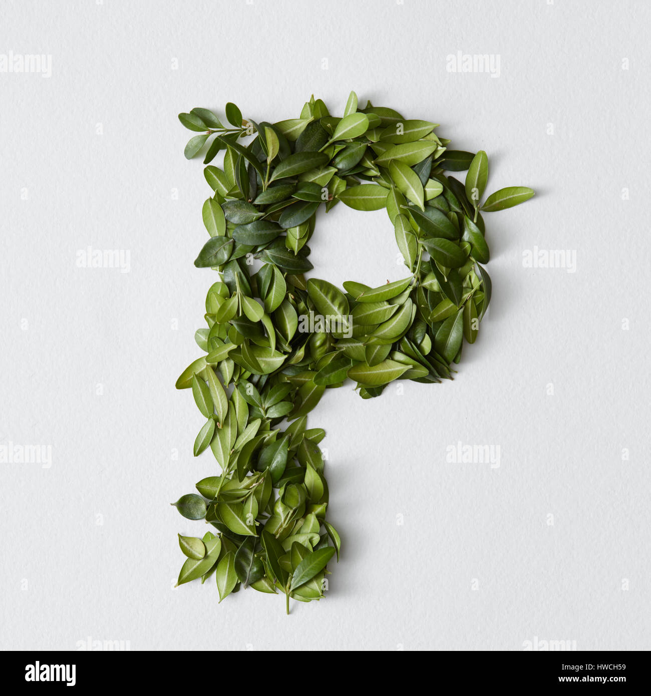Lettres Alphabet de feuilles Photo Stock - Alamy