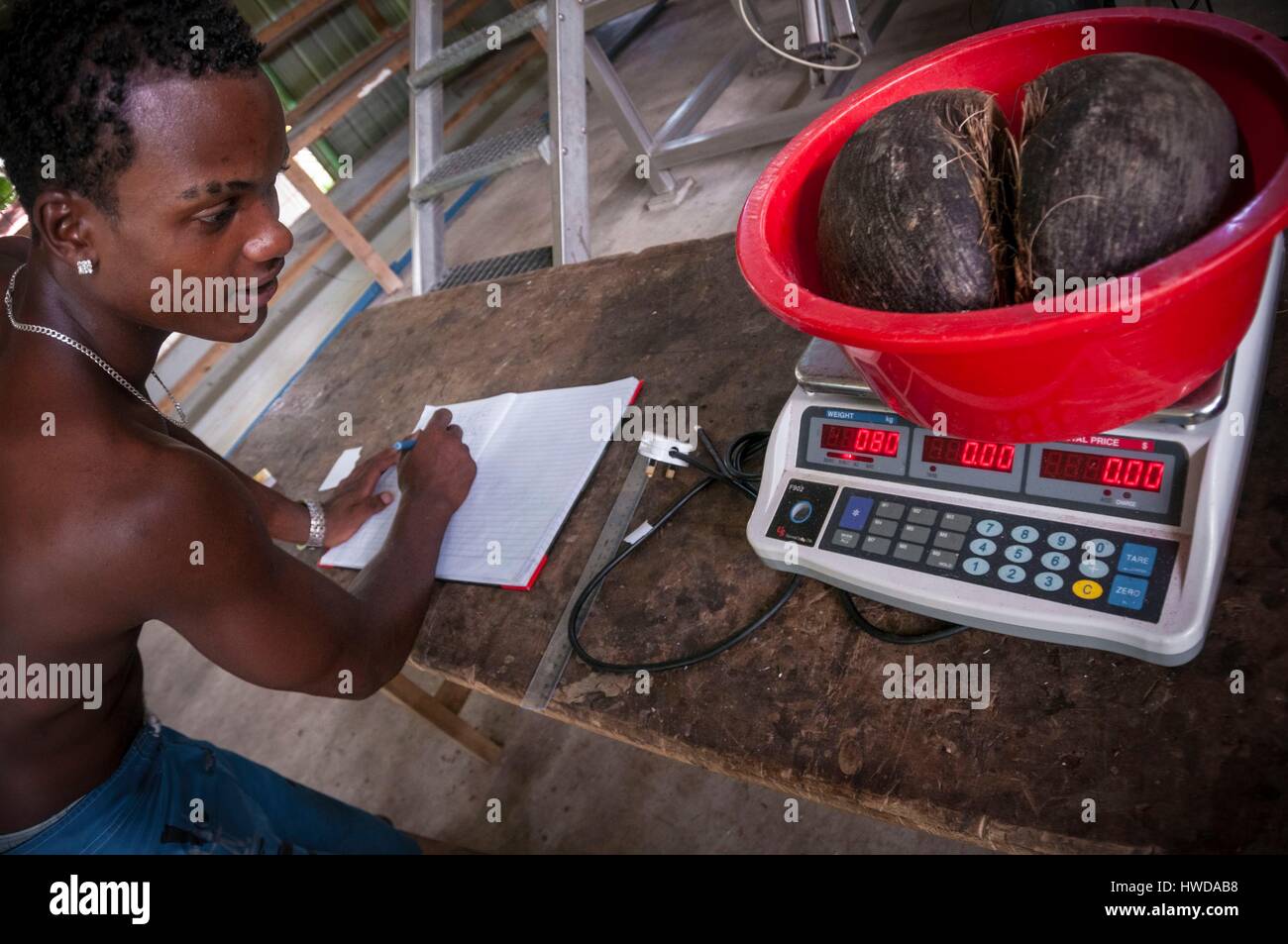 Les Seychelles, l'île de Mahé, Le Cap, craft village, Sarah RODDY pèse ...