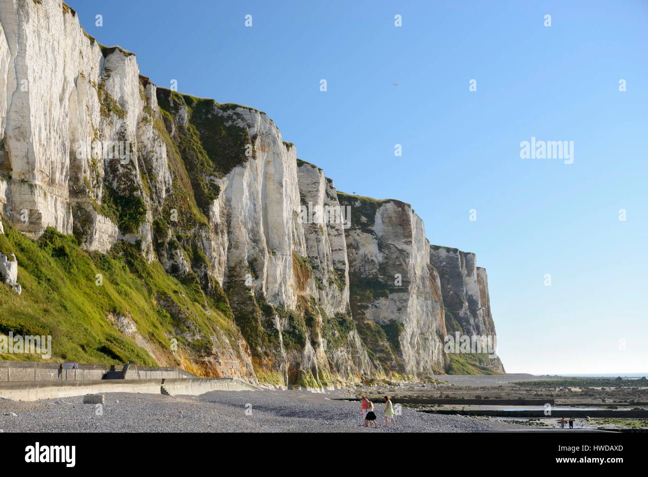 Le Treport Cliffs Banque d'image et photos - Alamy