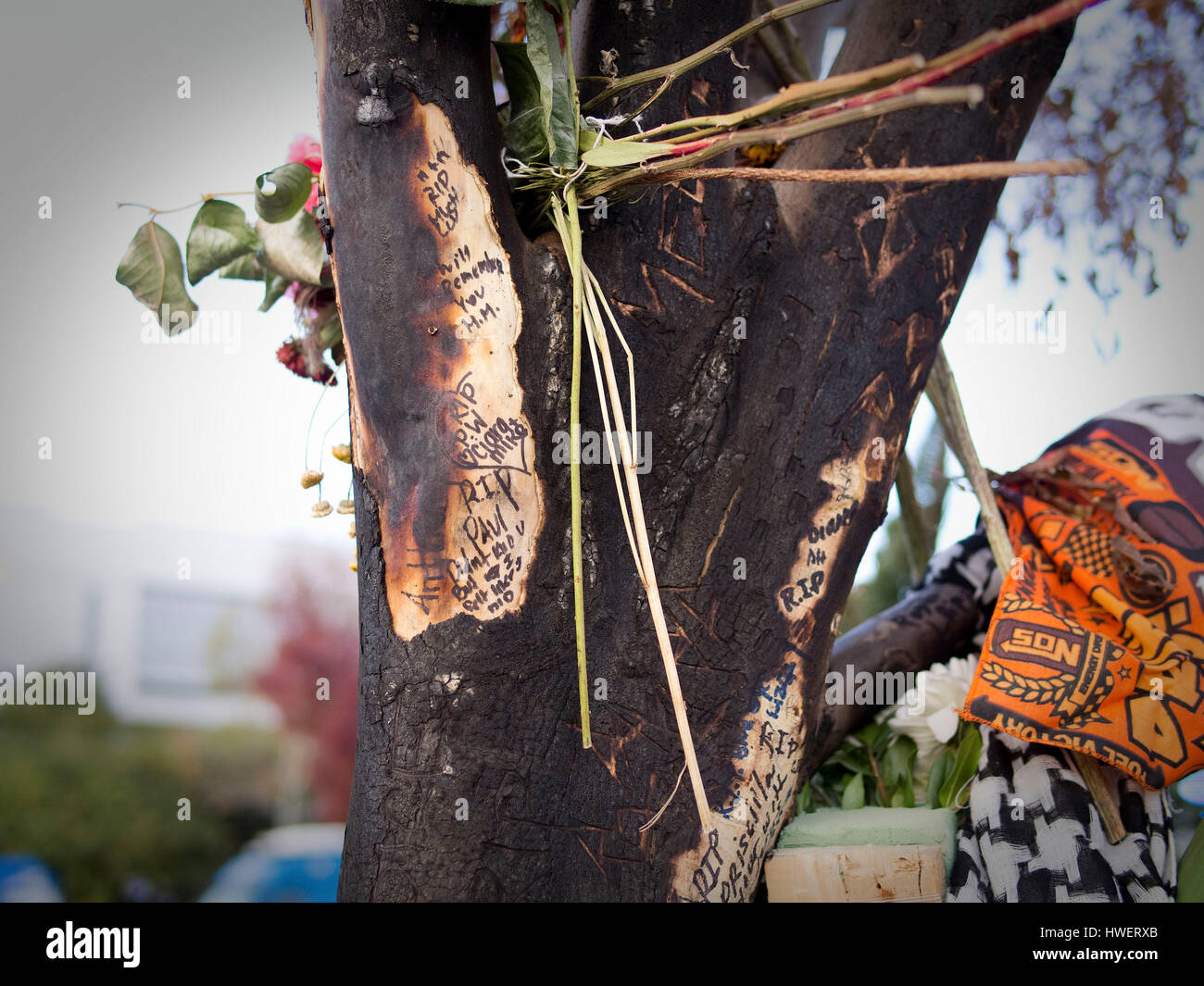 Paul walker actor Banque de photographies et d’images à haute ...