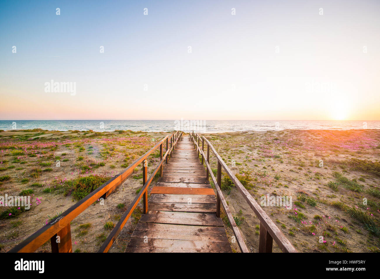 Promenade sur une plage Banque de photographies et d’images à haute ...