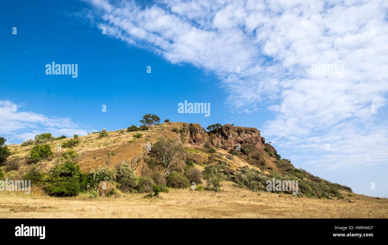 Soysambu conservancy Banque de photographies et d’images à haute ...