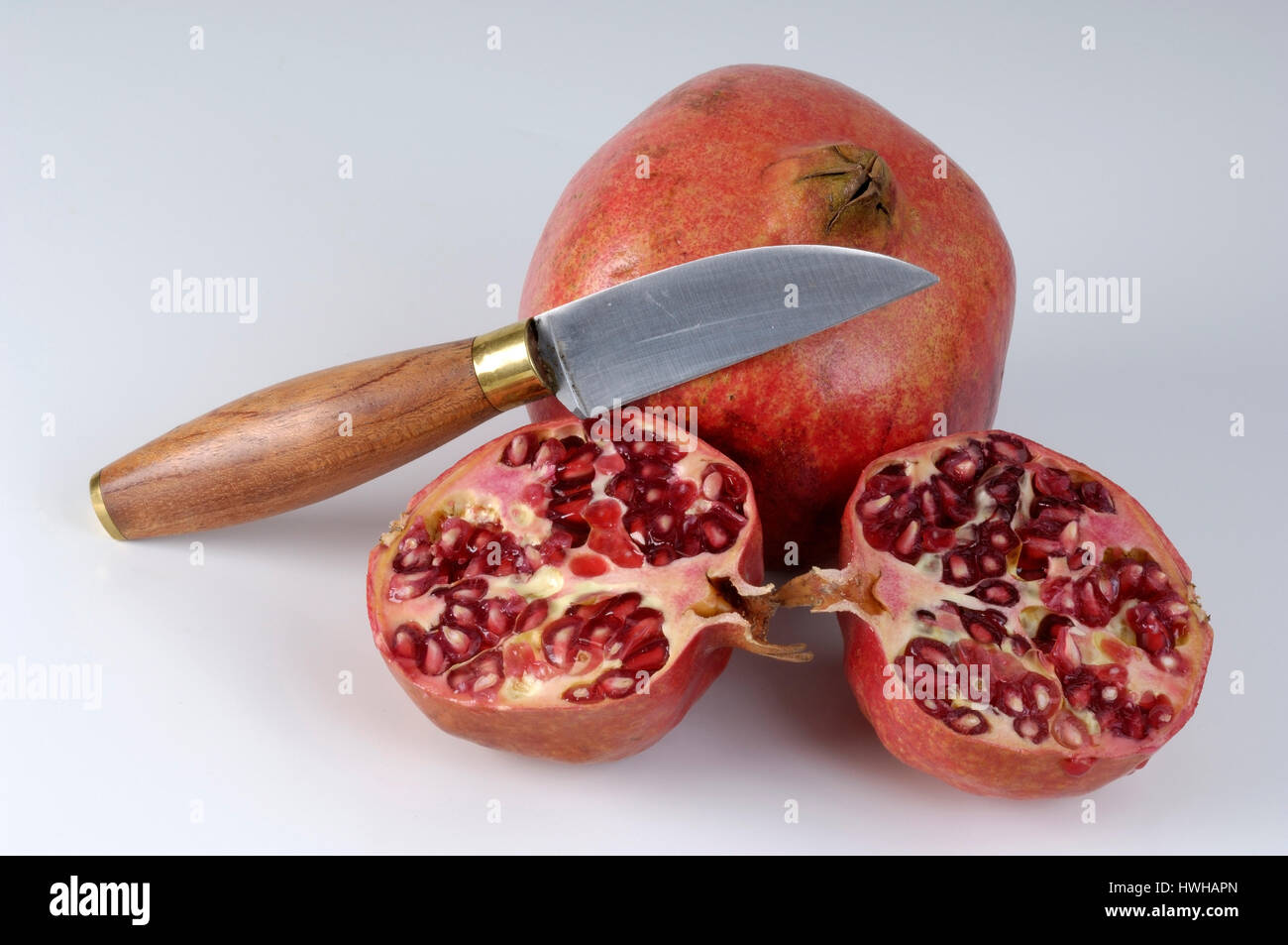 Les fruits, la Grenade Punica granatum grenadier grenadier Punicaceae ...