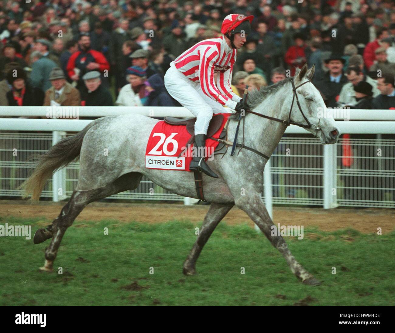 Cheval D'argent Banque d'image et photos - Alamy