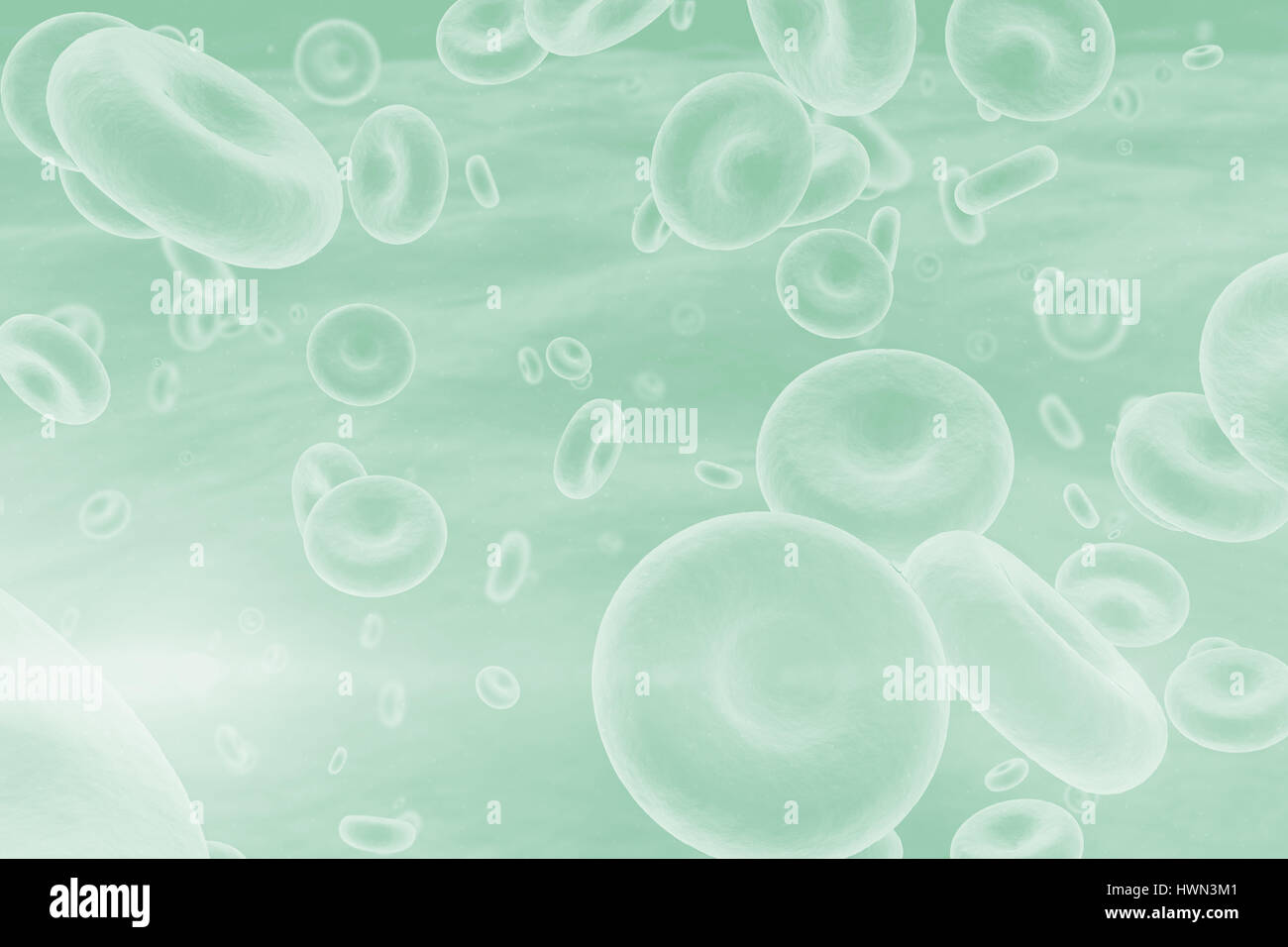 Montrant des globules rouges Banque de photographies et d’images à ...