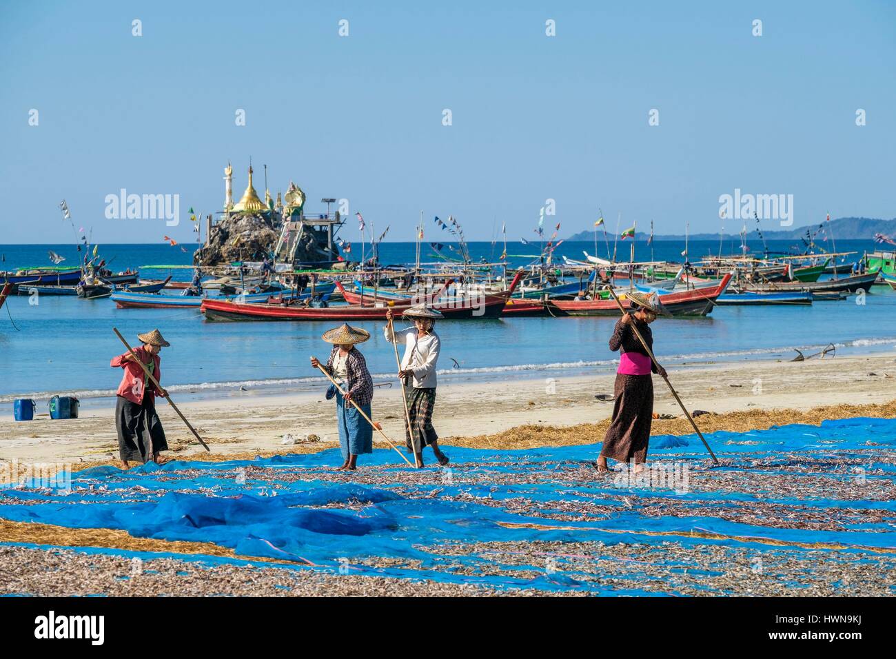 Myanmar (Birmanie), l'État de Rakhine (Arakan), ou quartier de Thandwe ...