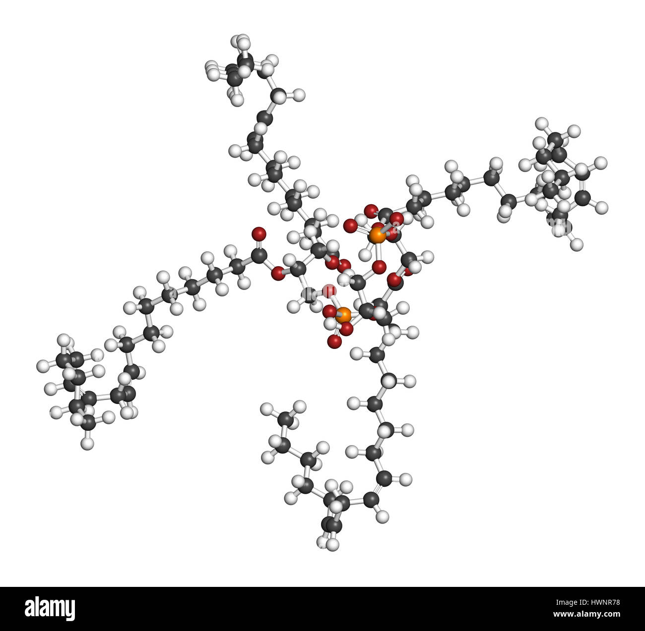 Mitochondrie 3d Banque d'images détourées - Page 2 - Alamy