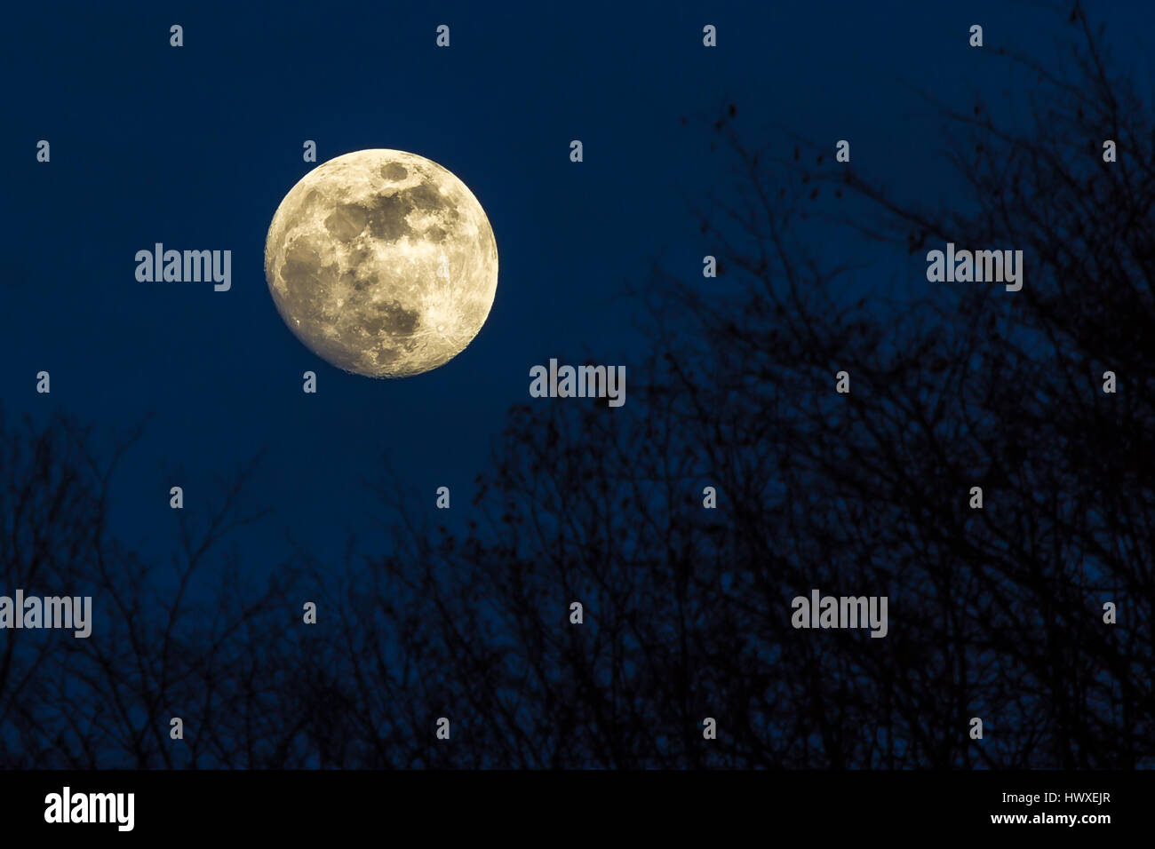 Lune jaune Banque de photographies et d’images à haute résolution - Alamy