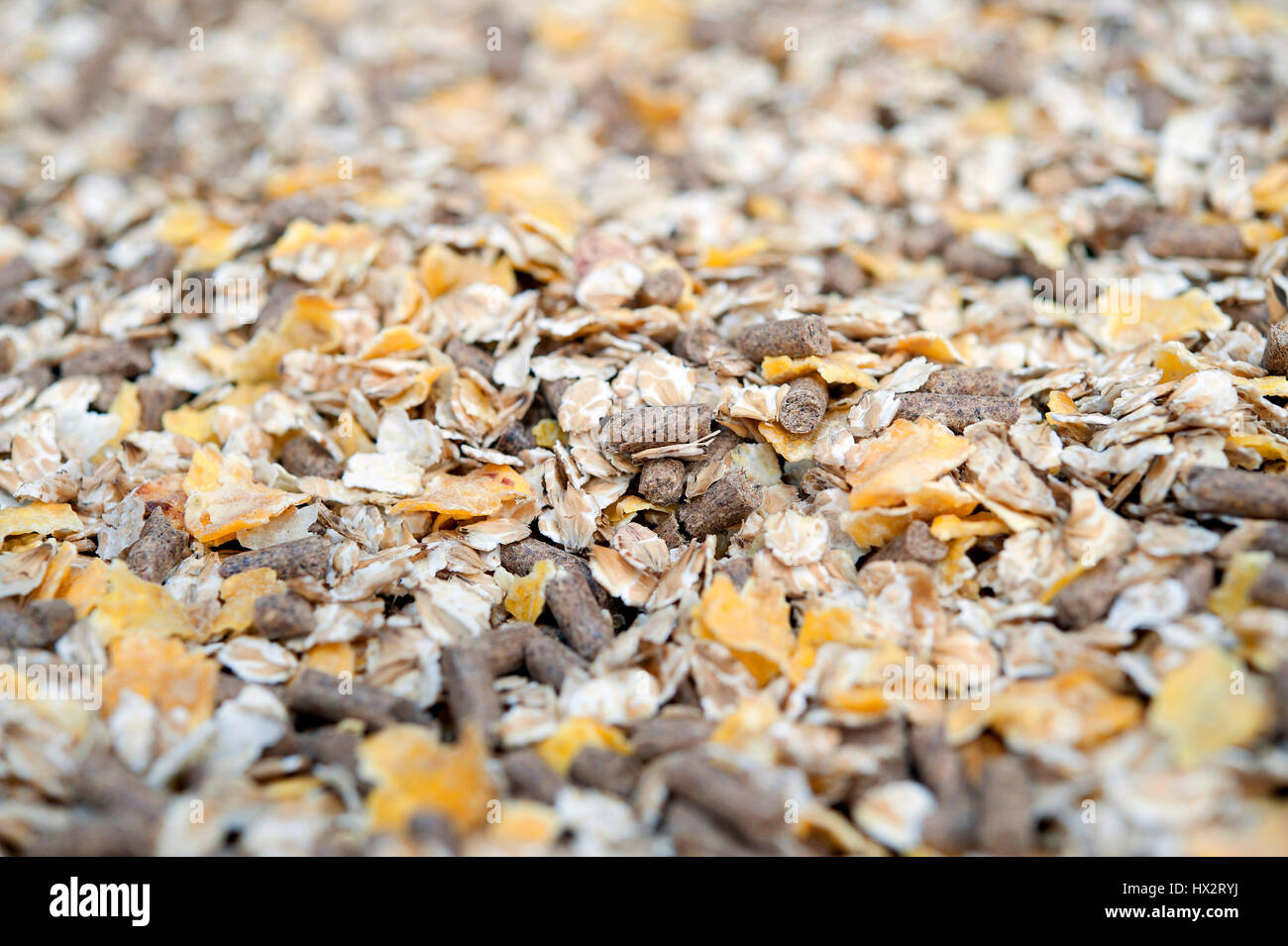 Aliments pour animaux ou fourrage Banque de photographies et d’images à ...