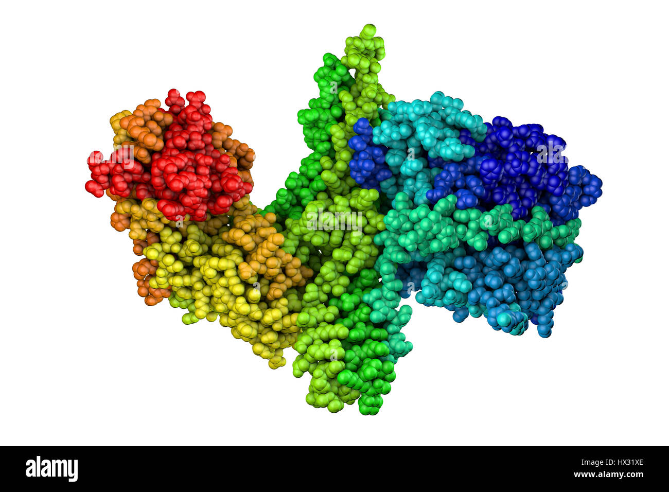 L'intérieur de bactéries Pseudomonas aeruginosa biofilm,ordinateur ...