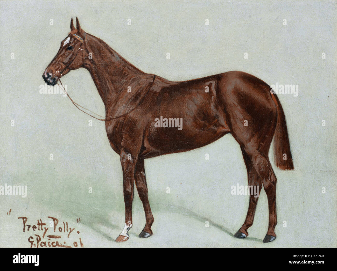 Pretty polly Banque de photographies et d’images à haute résolution - Alamy