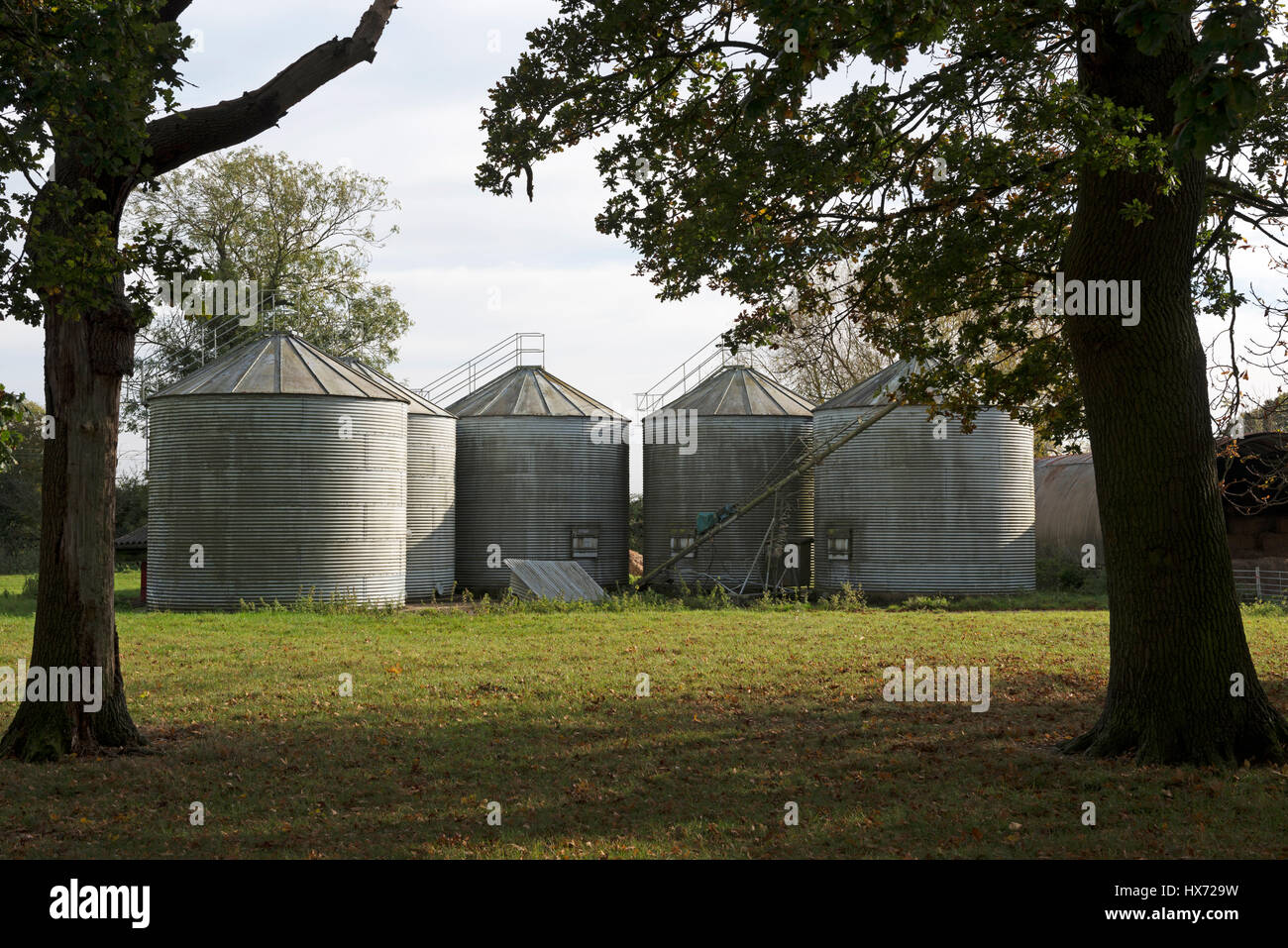 Silos uk Banque de photographies et d’images à haute résolution - Alamy