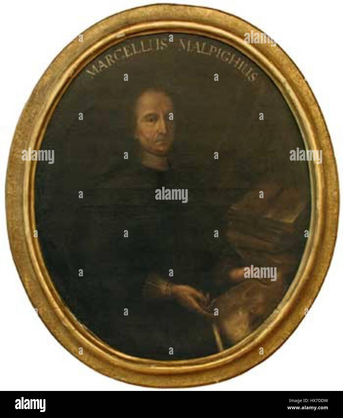 Marcello malpighi Banque de photographies et d’images à haute ...