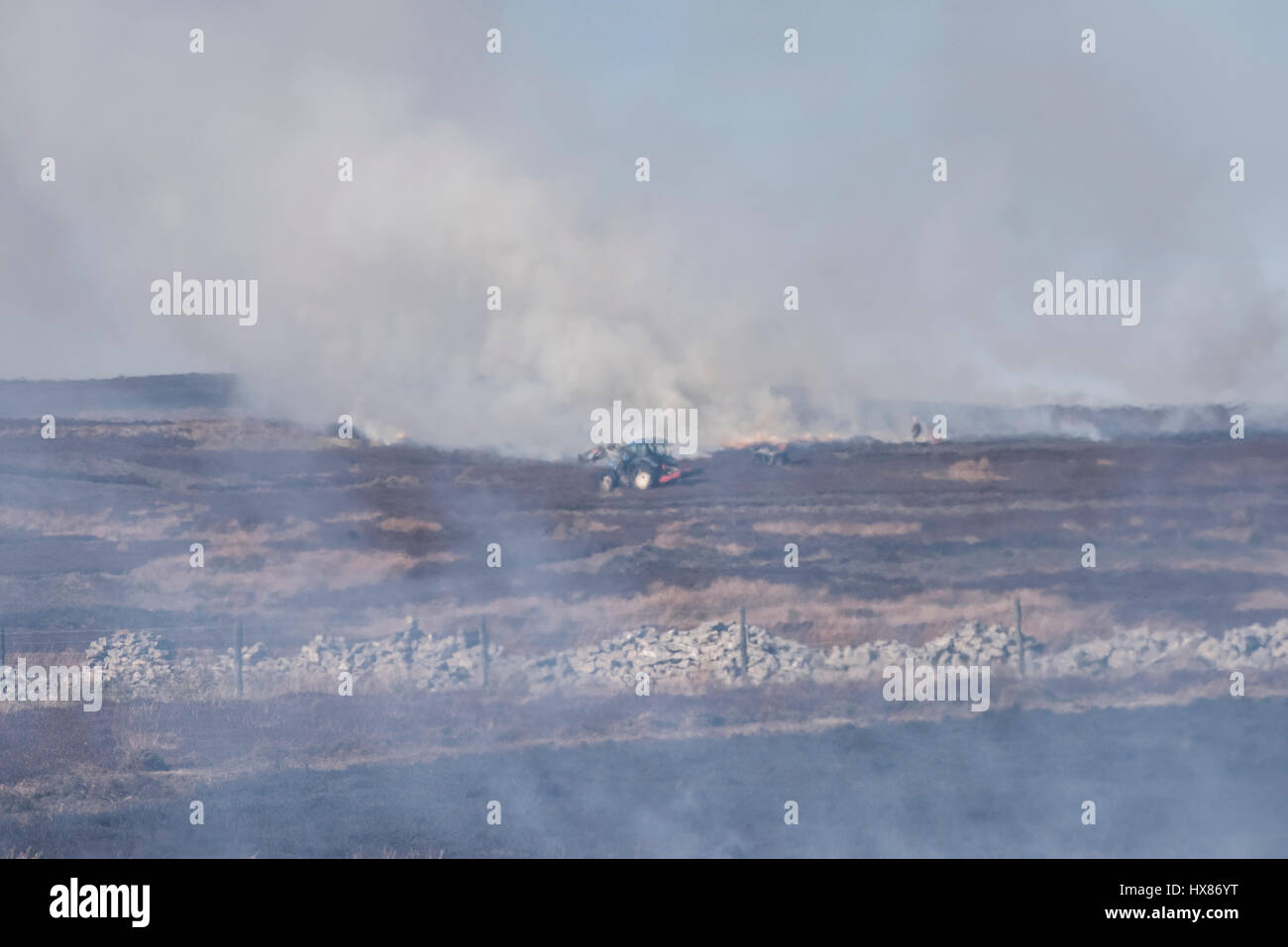 La chaleur moirée et la fumée de combustion de Heather Hill, Cocker sur ...