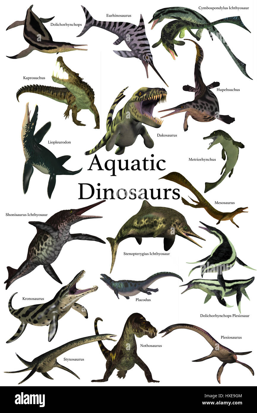 Les Dinosaures aquatiques - Une collection de divers dinosaures ...