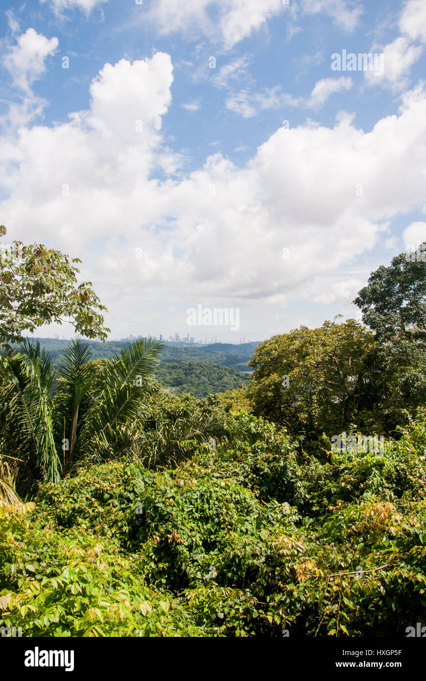 Vue sur la ville de Panama à partir de Ancon Hill Photo Stock - Alamy