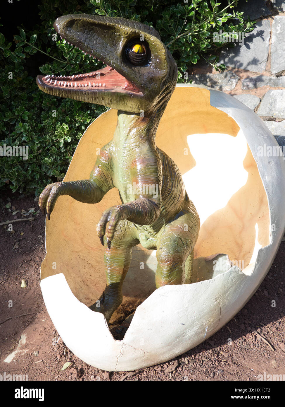 Tyrannosaurus rex baby Banque de photographies et d’images à haute ...