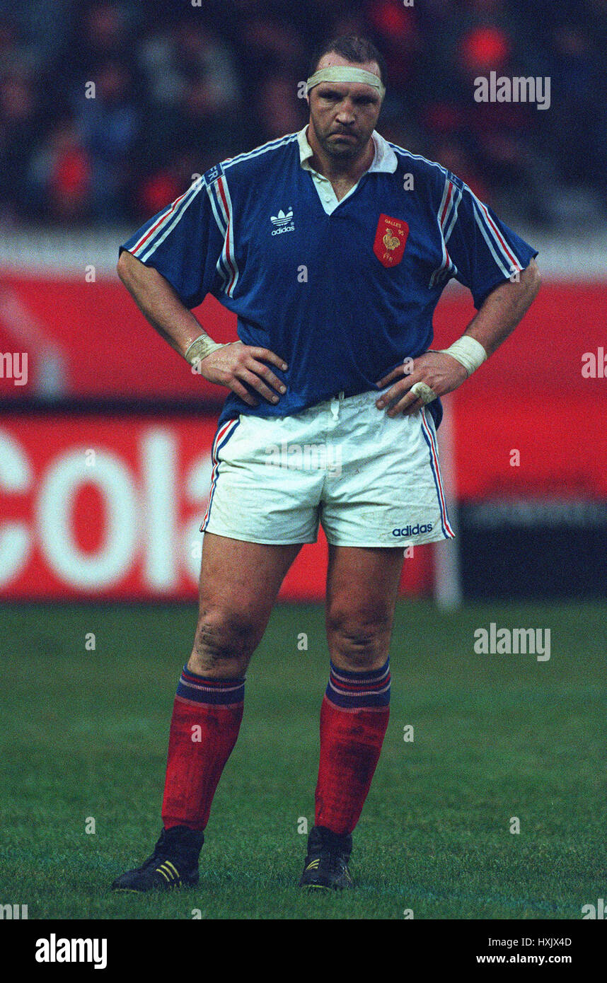 Olivier merle Banque de photographies et d’images à haute résolution ...