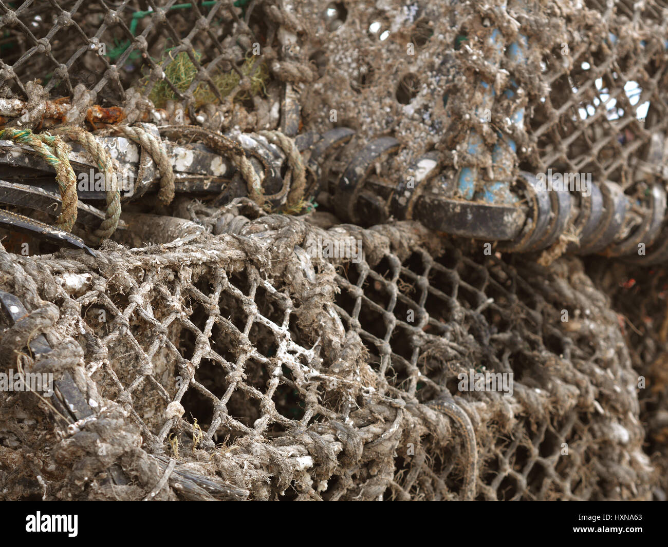 Industrie du crabe Banque de photographies et d’images à haute ...