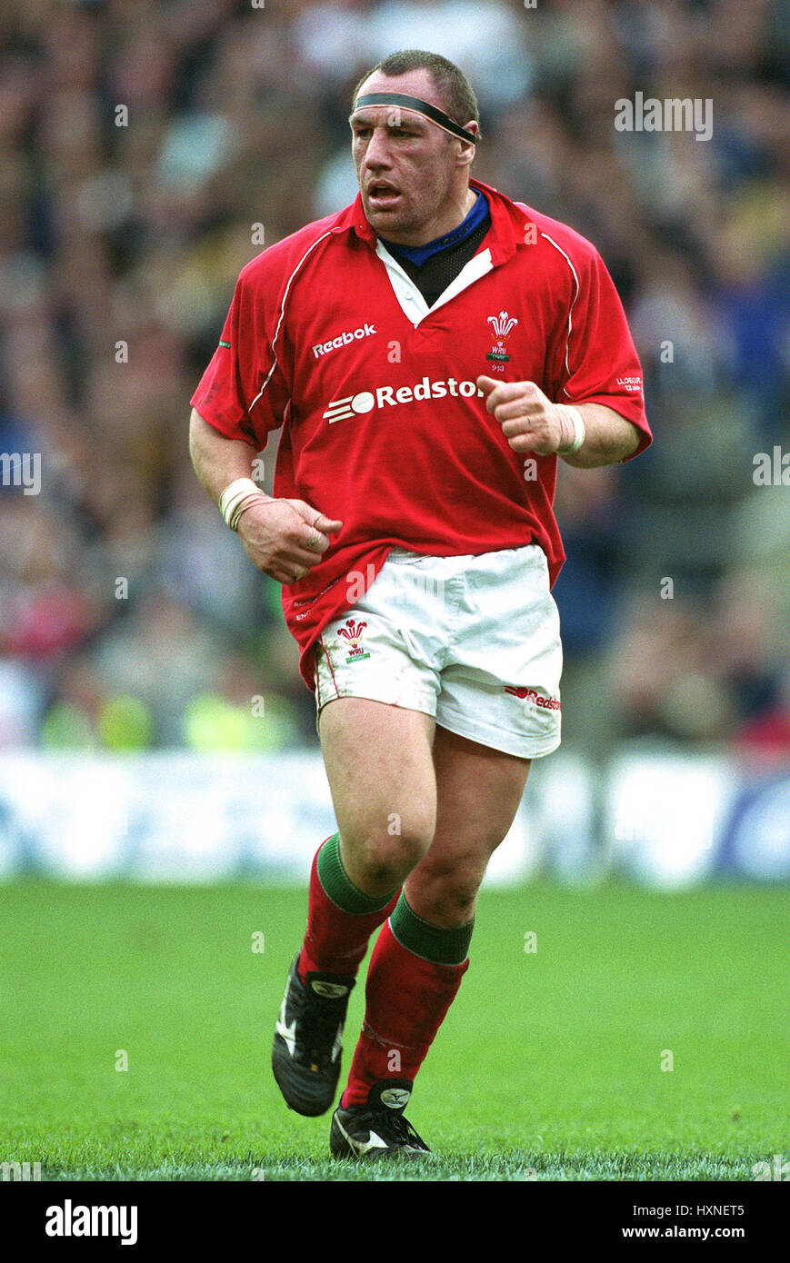 Robin mcbryde wales Banque de photographies et d’images à haute ...