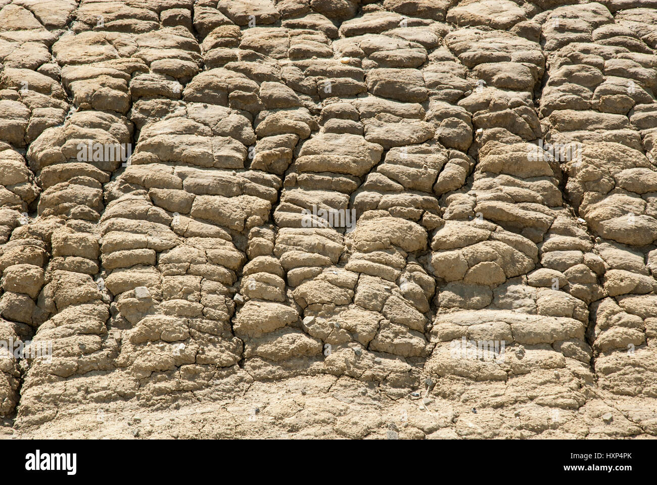 Volcans de boue - texture et de l'éruption -Roumanie, Buzau, Berca ...