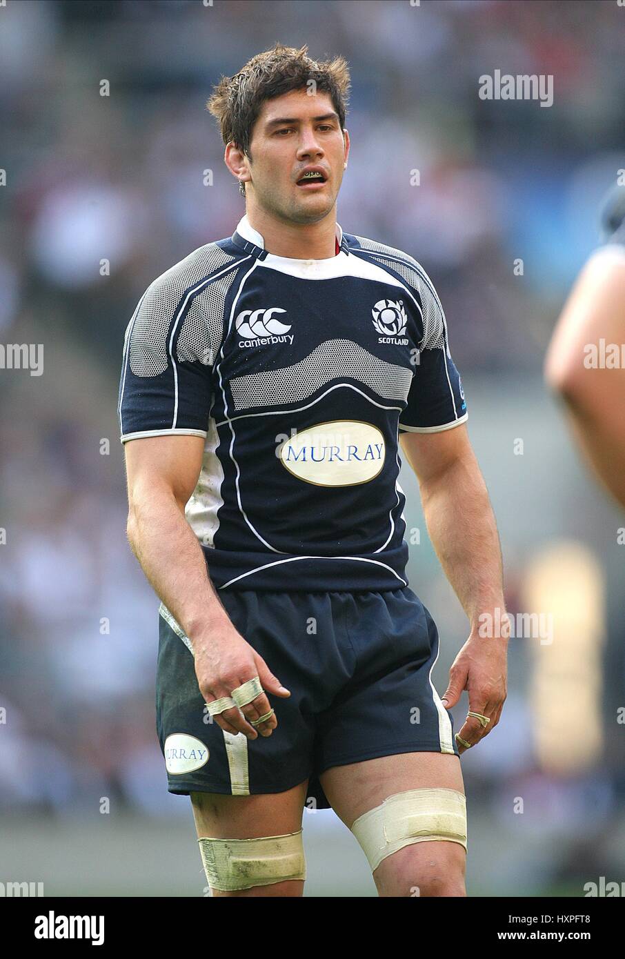 Scott gray Banque de photographies et d’images à haute résolution - Alamy