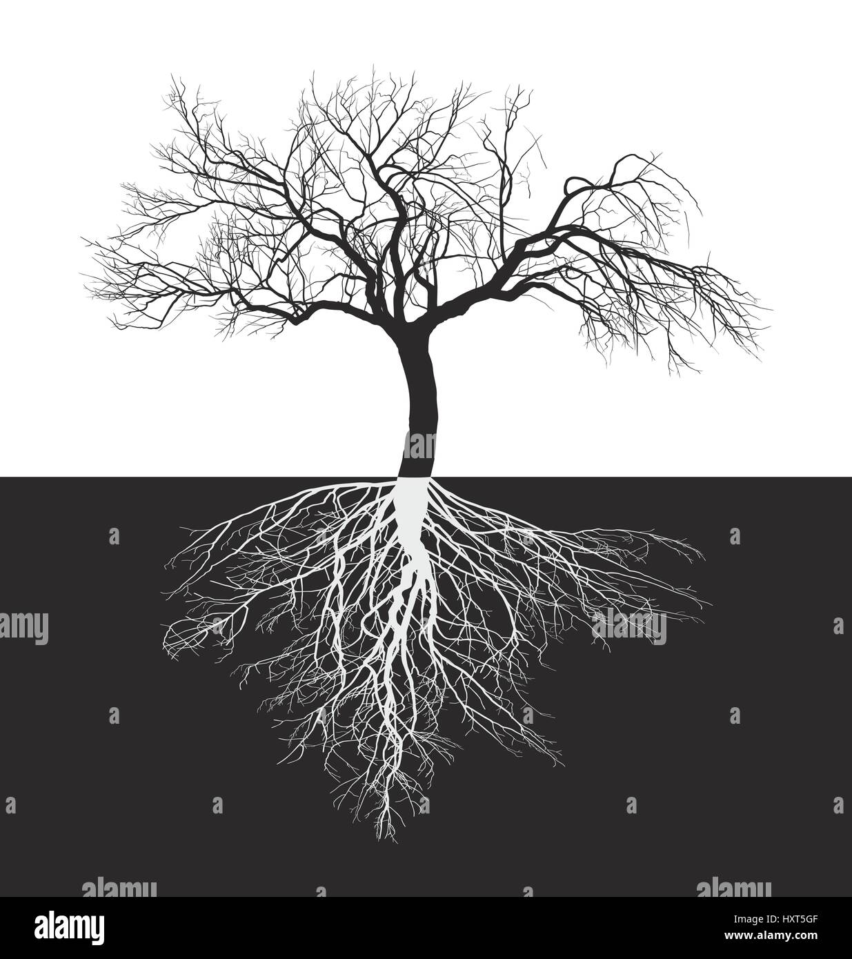 Arbre sans Banque d'images vectorielles - Alamy