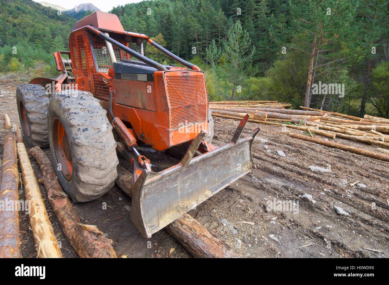 Bulldozer deforestation forest Banque de photographies et d’images à ...