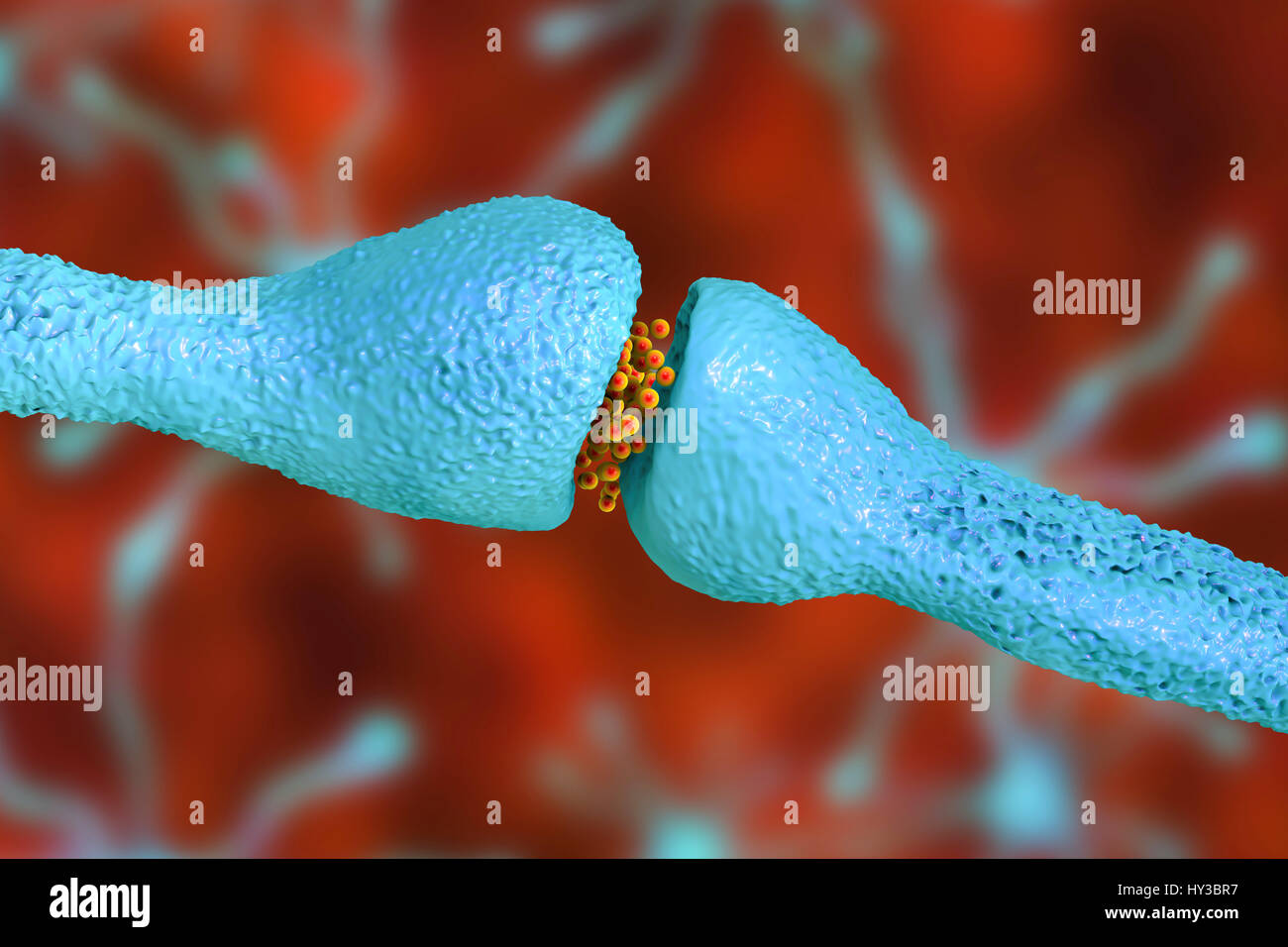 Synapse nerveuse. Illustration d'ordinateur d'une jonction, ou synapse ...