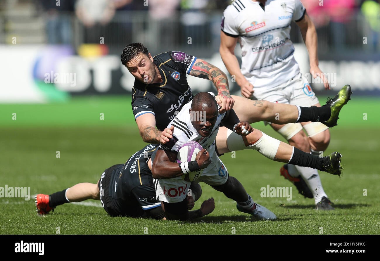 Taku ngwenya Banque de photographies et d’images à haute résolution - Alamy