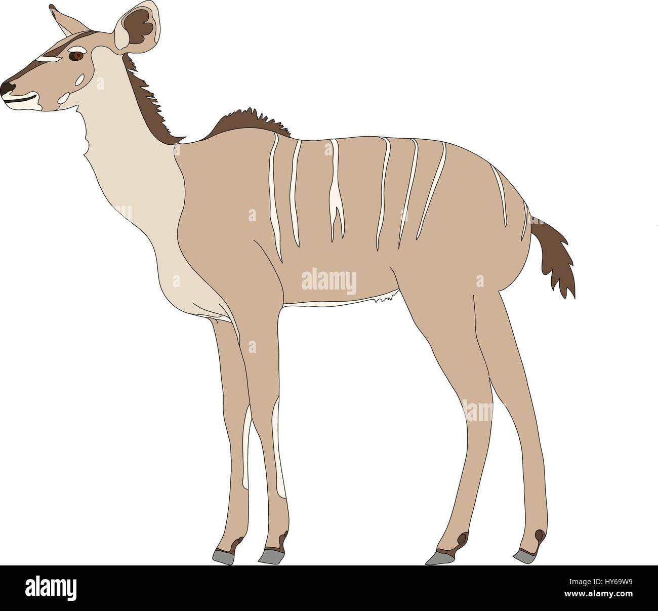 Portrait de koudou Banque d'images vectorielles - Alamy