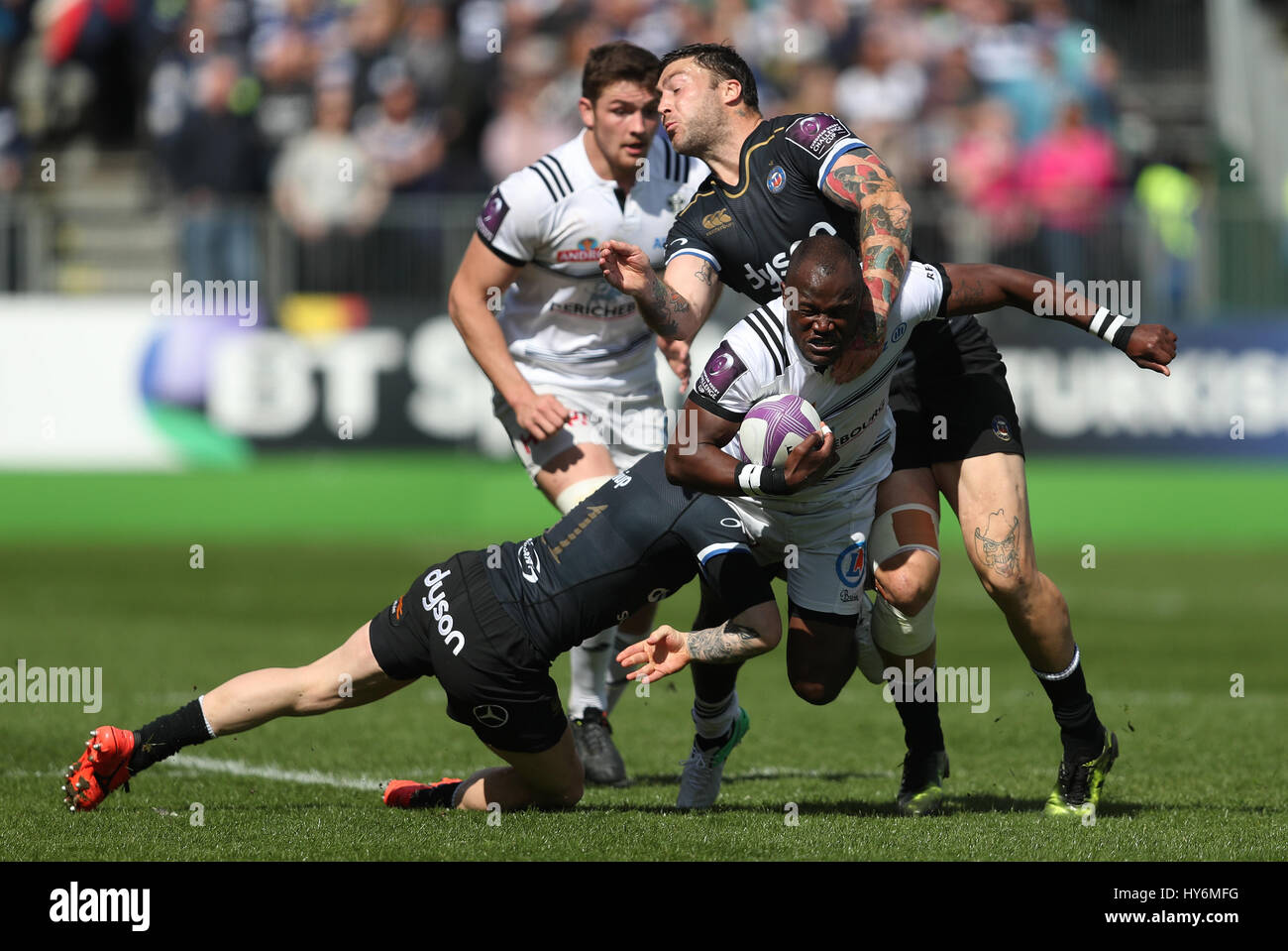 Taku ngwenya Banque de photographies et d’images à haute résolution - Alamy