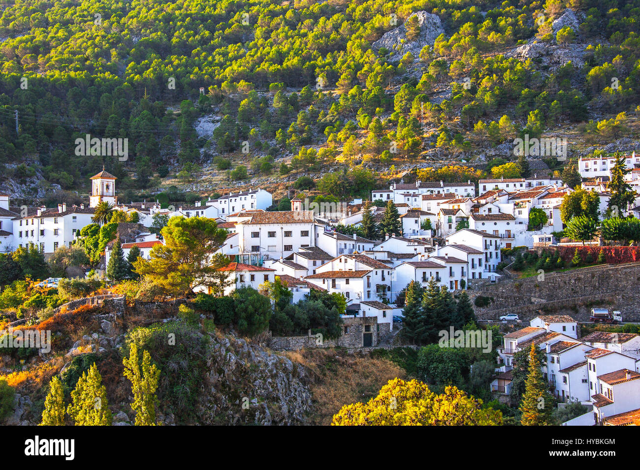 Village de pins blancs Banque de photographies et d’images à haute ...