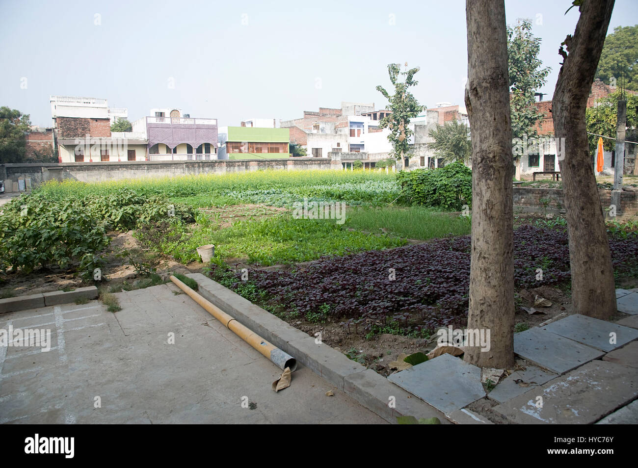 Kabir chaura Banque de photographies et d’images à haute résolution - Alamy