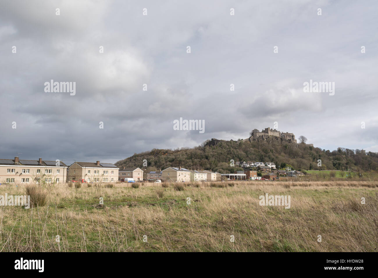 Le raploch Banque de photographies et d’images à haute résolution - Alamy