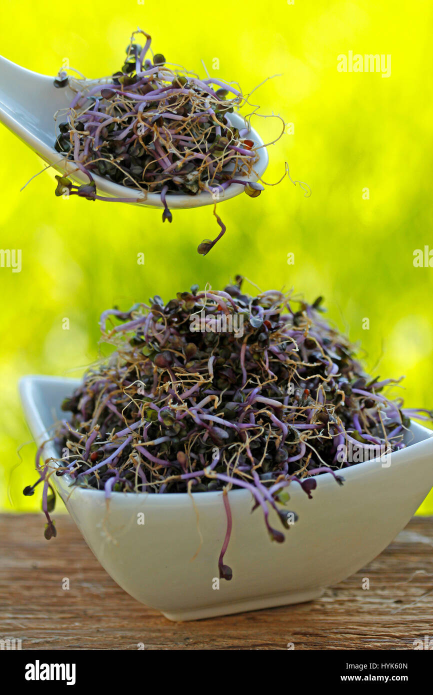 Choux rouges frais Banque de photographies et d’images à haute ...