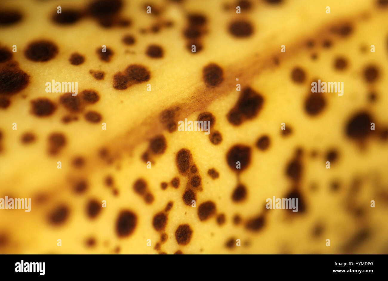 Taches bananes brunes Banque de photographies et d’images à haute ...