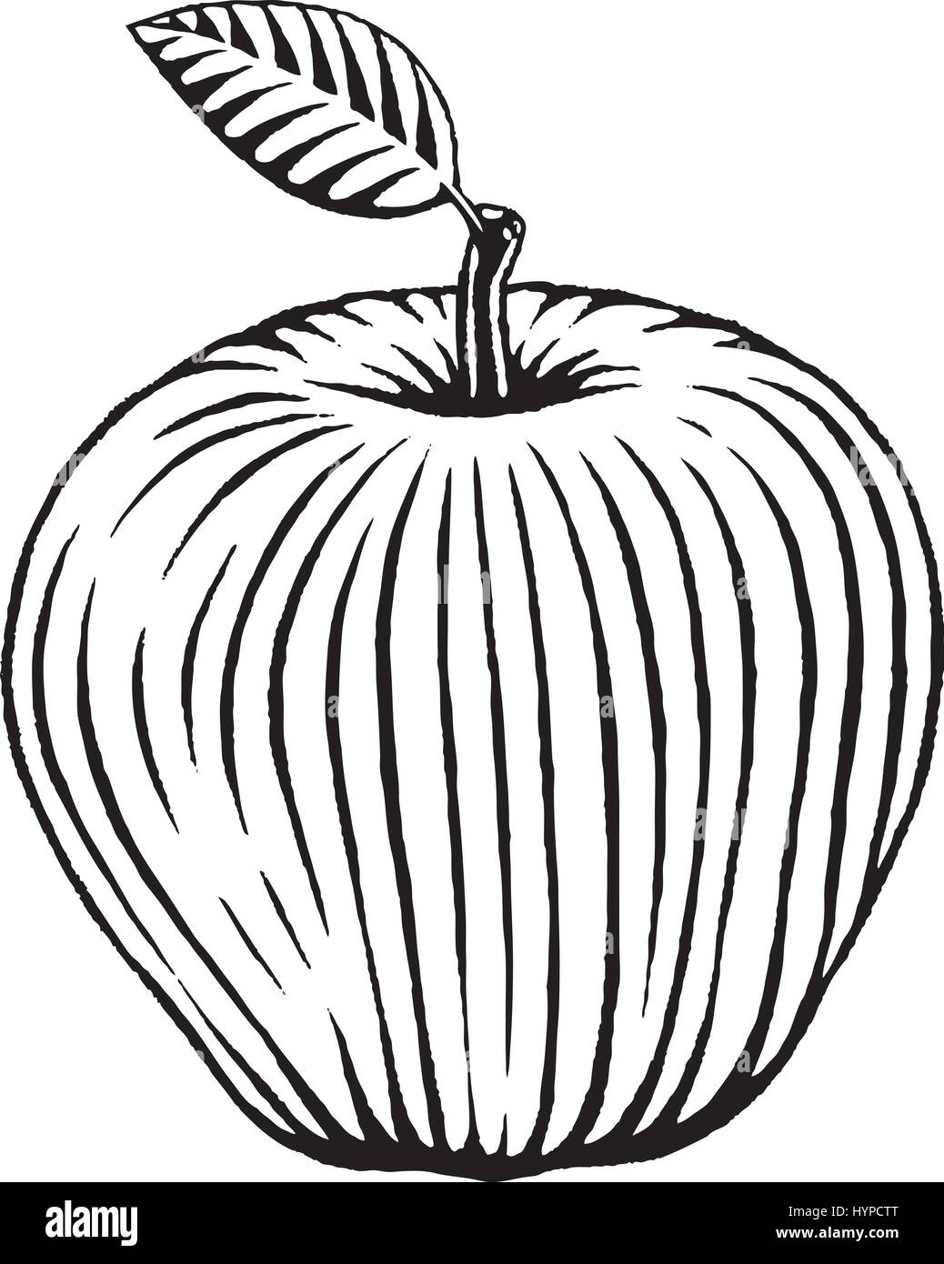 Dessin De Pomme Banque d'image et photos - Alamy