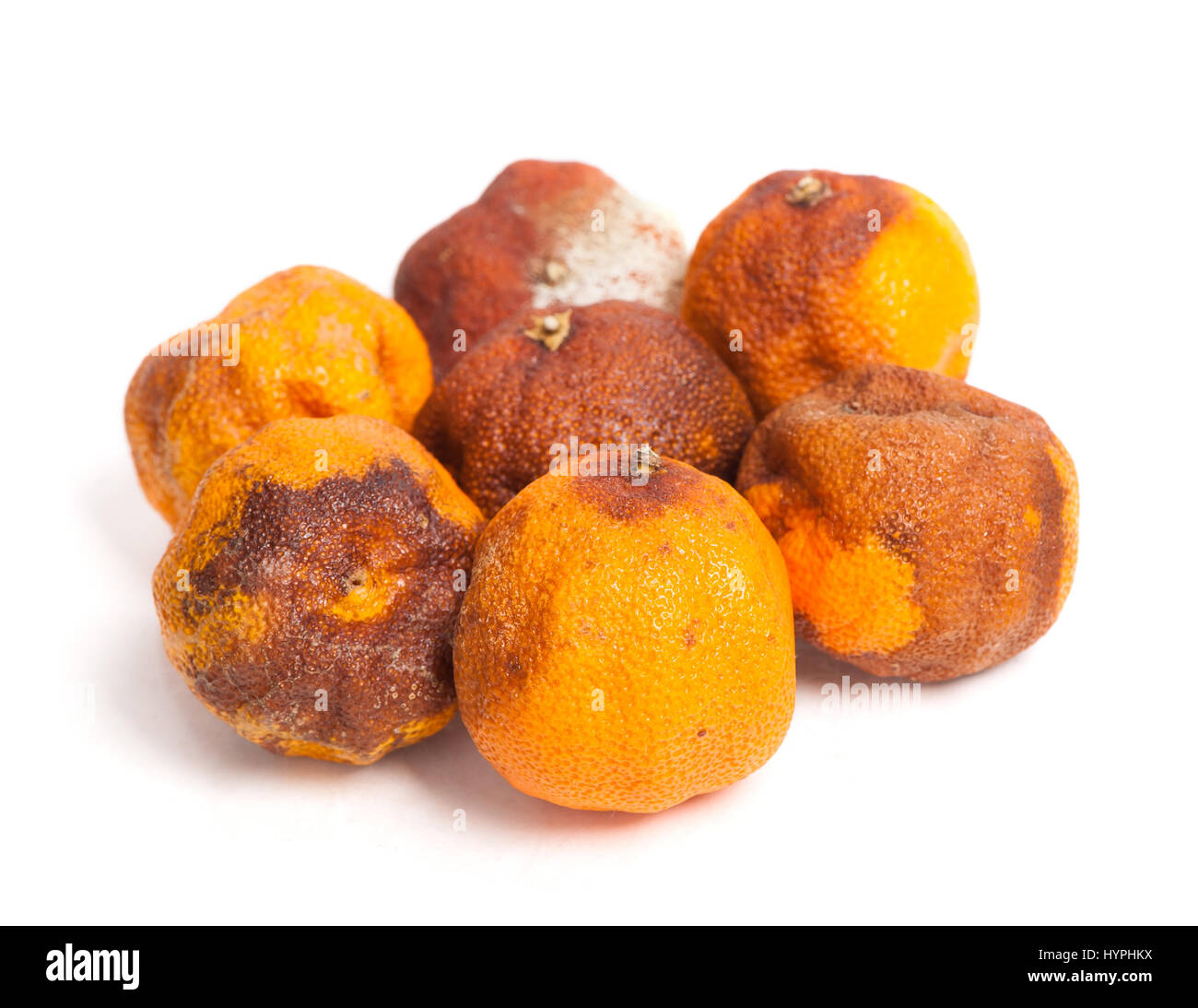 Rotten oranges Banque de photographies et d’images à haute résolution ...