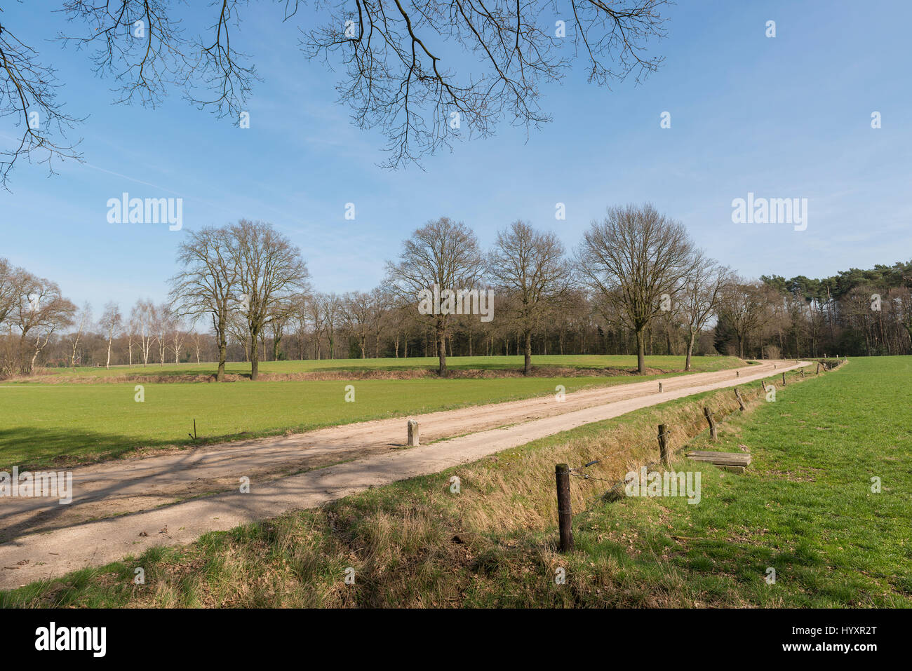 Bocage landscape with hedges and trees Banque de photographies et d ...