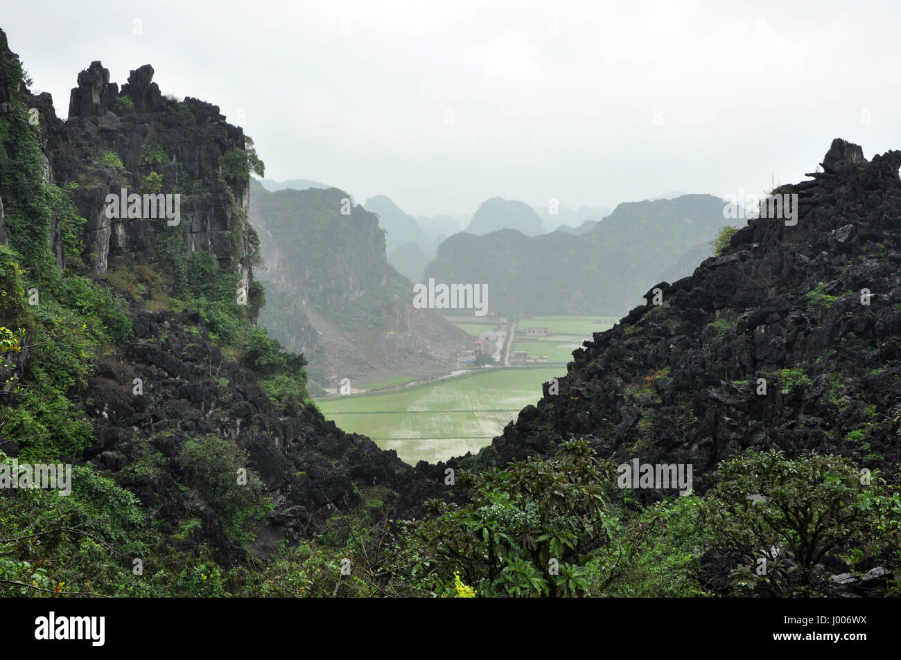 Vue panoramique sur les rizières et les roches calcaires de Hang Mua ...