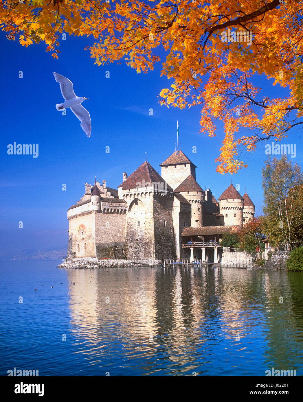 Vaud suisse Banque de photographies et d’images à haute résolution - Alamy