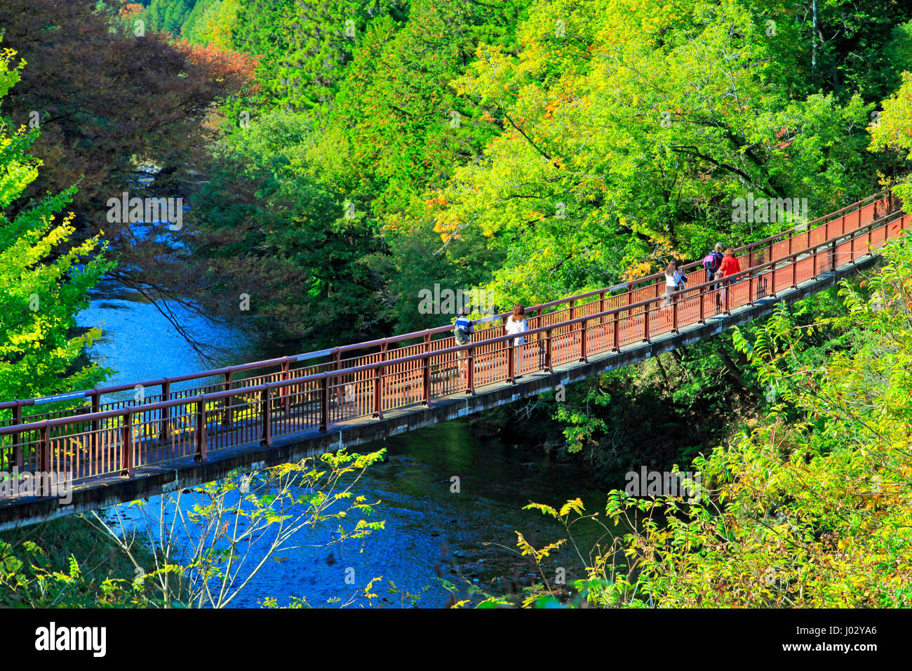 Ishibunebashi Akigawa Pont Vallée Akiruno Keikoku-shi, Tokyo Japon ...