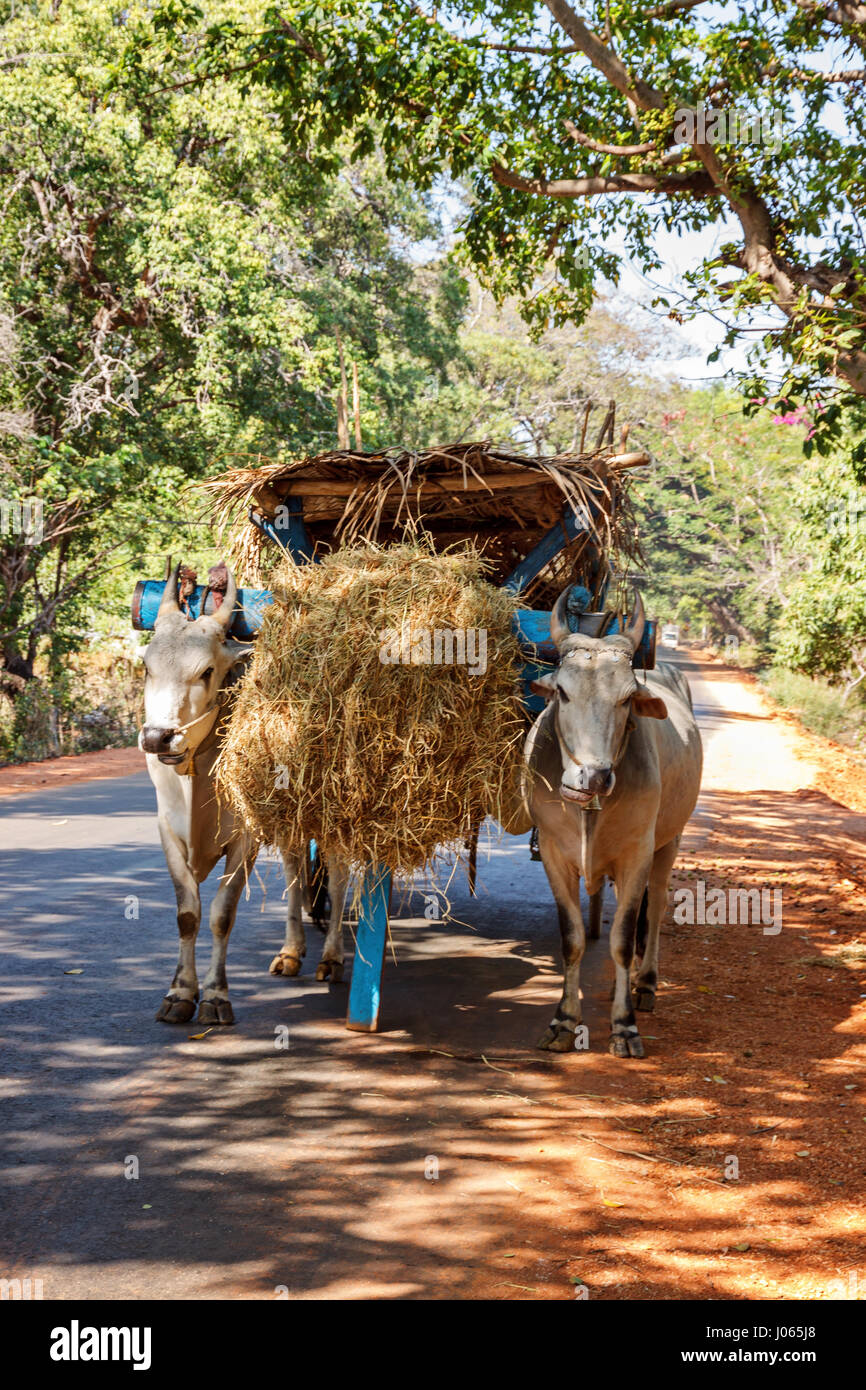 Charrette sur l'ancienne route, le Sri Lanka, la vue verticale Photo ...