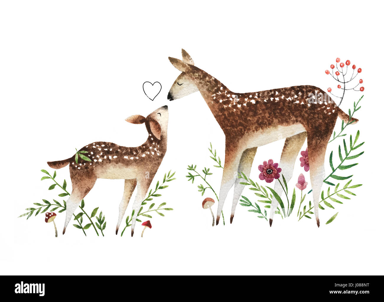 Faon aquarelle Banque d'images détourées - Alamy