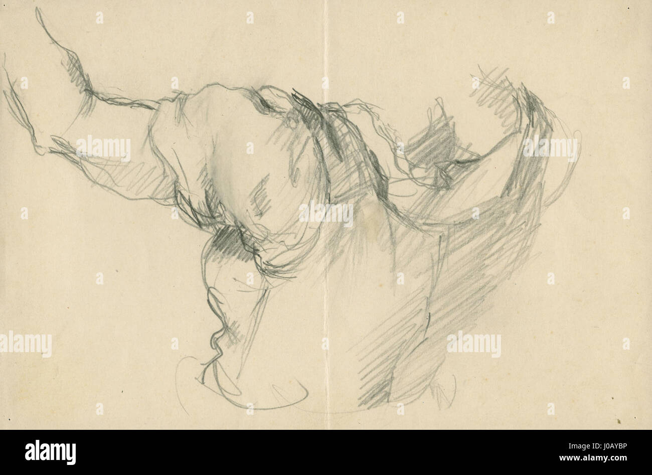 Anatomie du dos humain Banque de photographies et d’images à haute ...