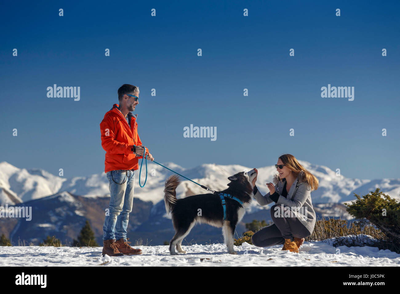 Couple avec chien Banque de photographies et d’images à haute ...