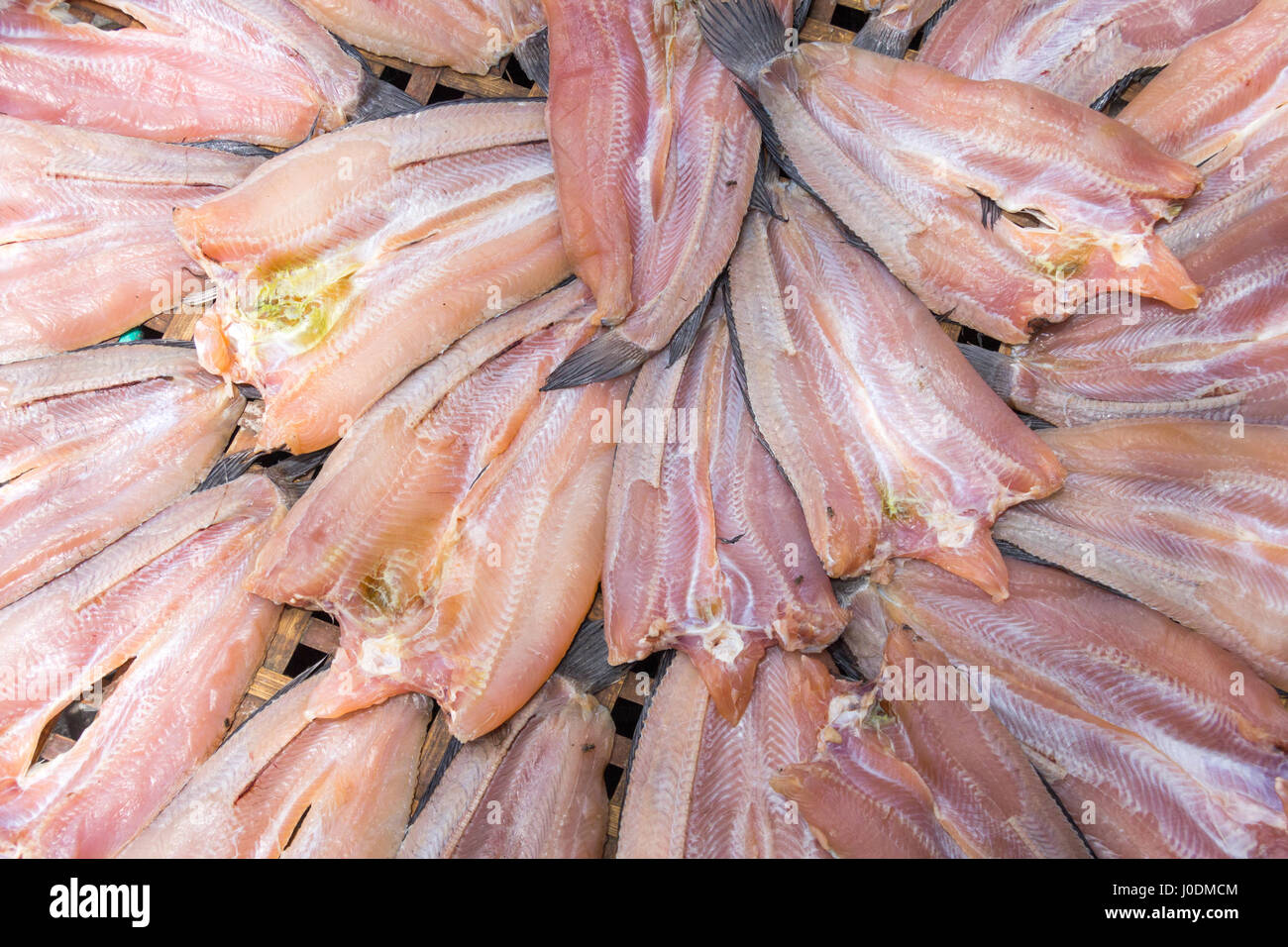 Poisson séché au soleil Banque de photographies et d’images à haute ...
